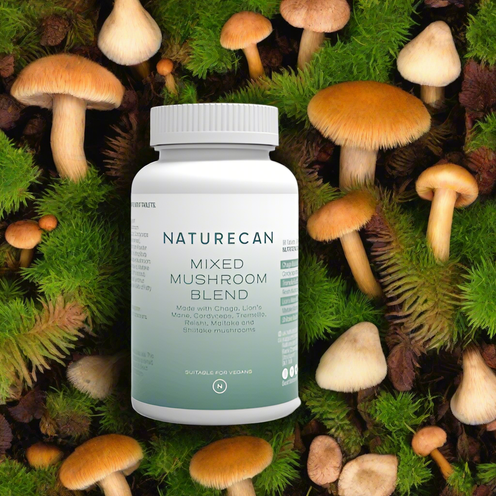 Lion's Mane & Chaga Mushroom Supplement | Naturecan IE